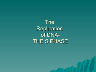 Structure of dna and replication2012 | PPT