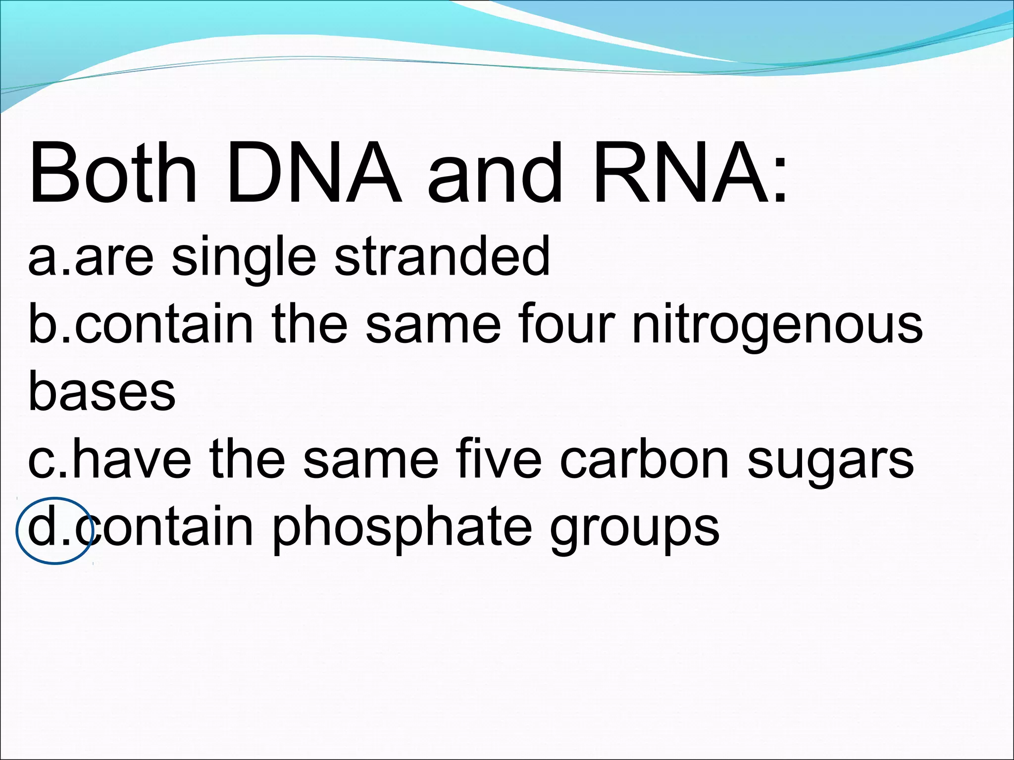Structure of dna and rna | PPT