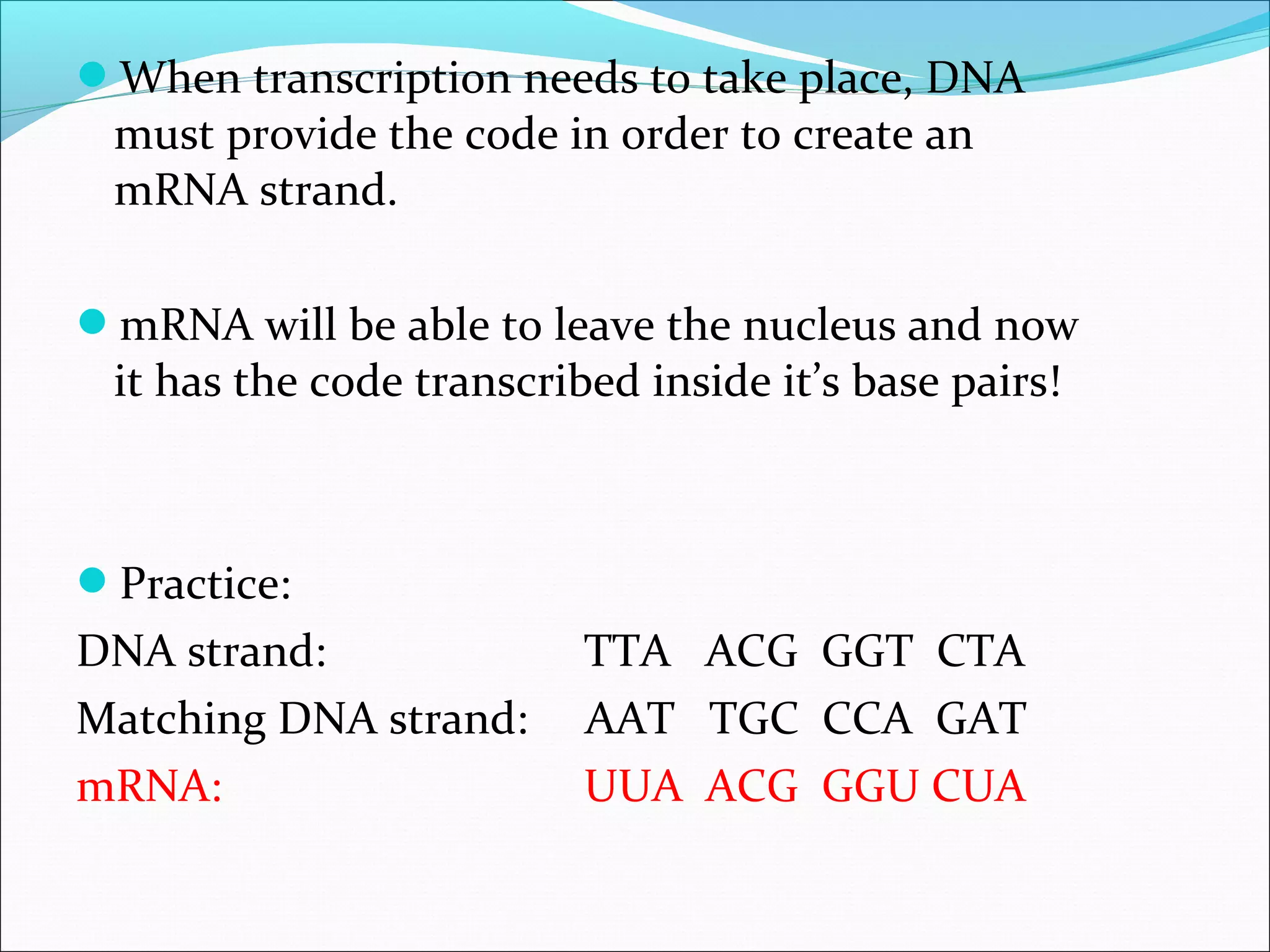 Structure of dna and rna | PPT