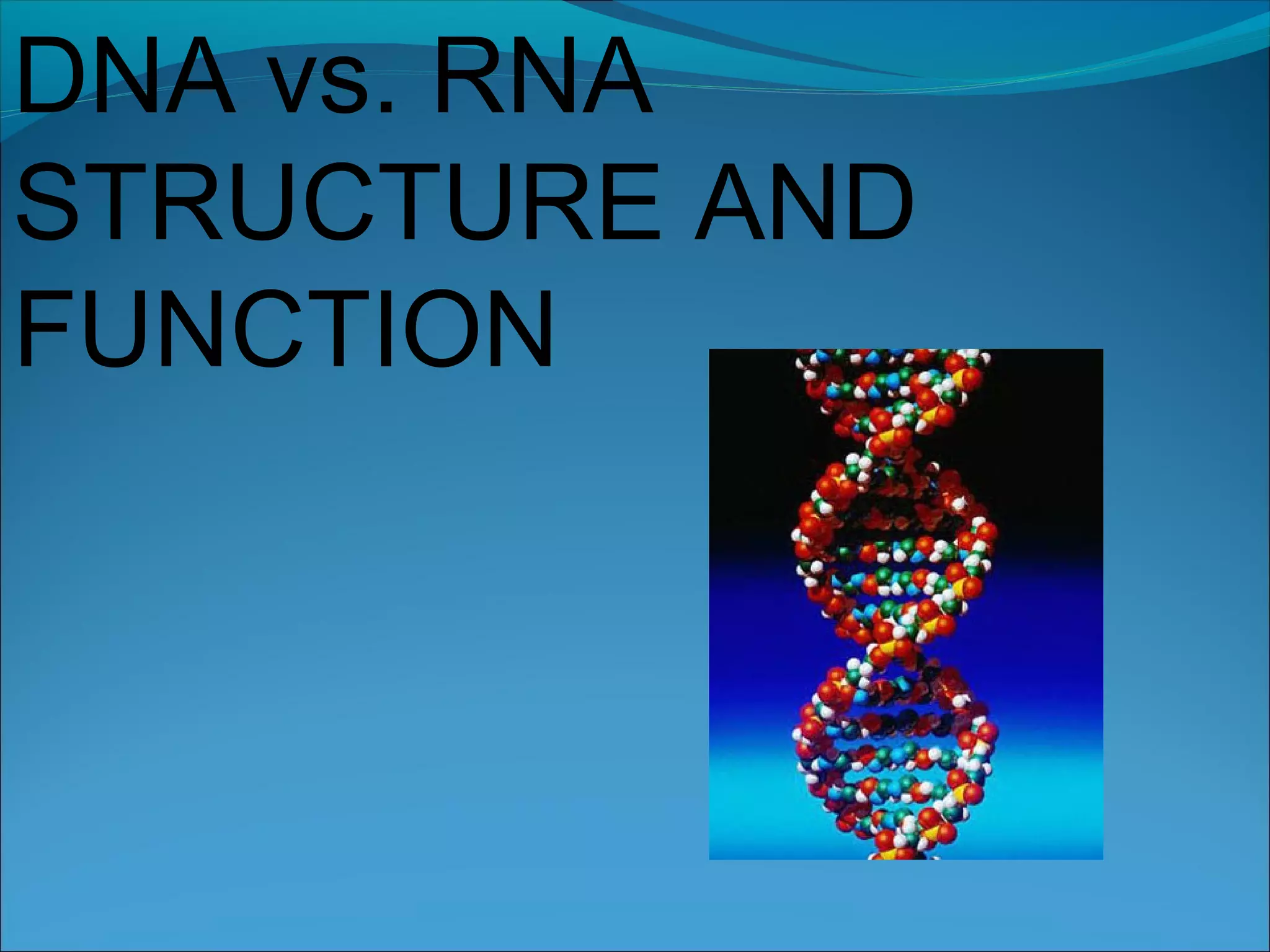 Structure of dna and rna | PPT