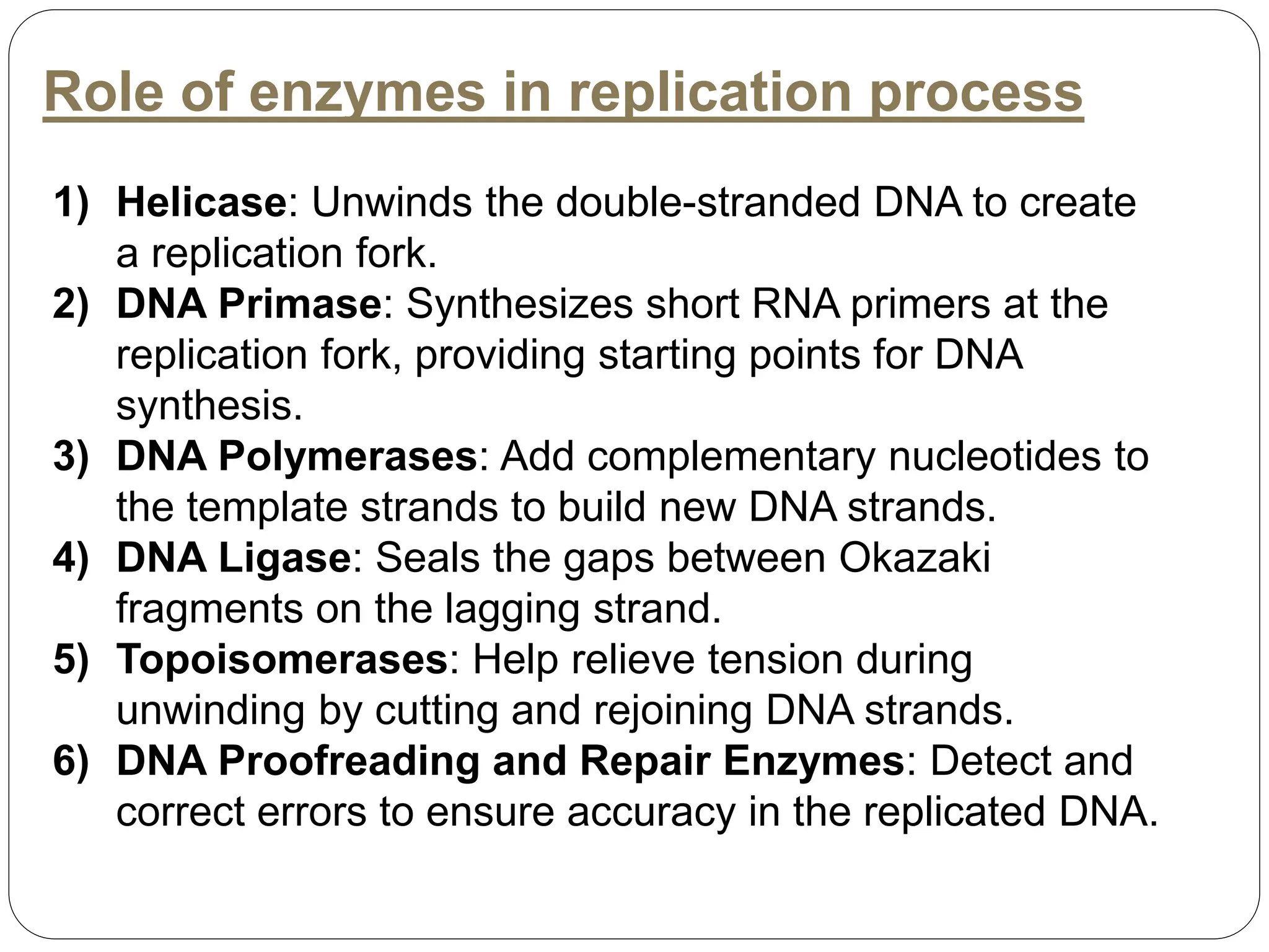 Structure of DNA and RNA and its functions | PPT