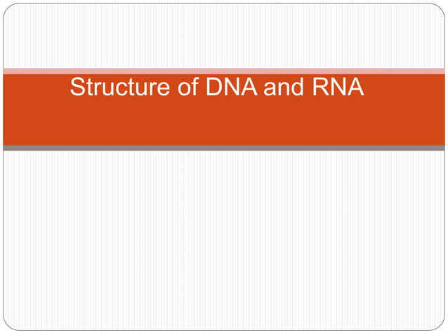 Structure of DNA and RNA and its functions | PPT
