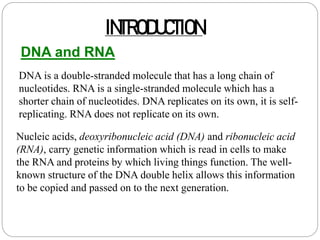 Structure of DNA and RNA and its functions | PPT