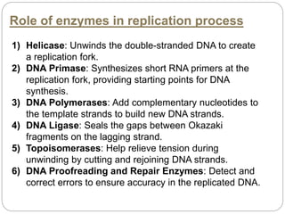 Structure of DNA and RNA and its functions | PPT