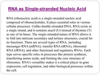 Structure of DNA and RNA and its functions | PPT