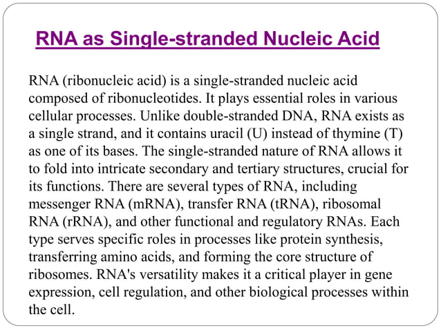 Structure of DNA and RNA and its functions | PPT