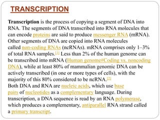 Structure of DNA and RNA and its functions | PPT