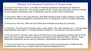 Structure of DNA and RNA | PDF
