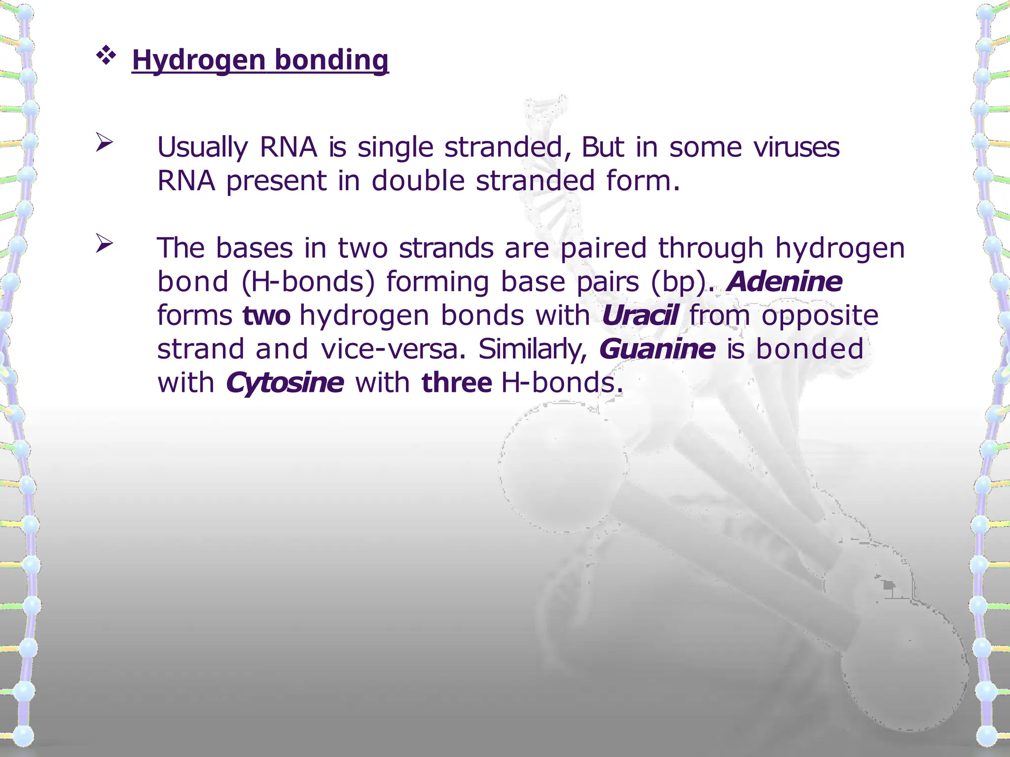Structure of DNA and RNA and functions.pptx