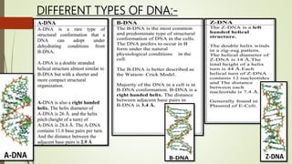 STRUCTURE OF DNA AND THEIR TYPES.pptx