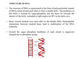 STRUCTURE OF DNA 672368854324568853 .pdf