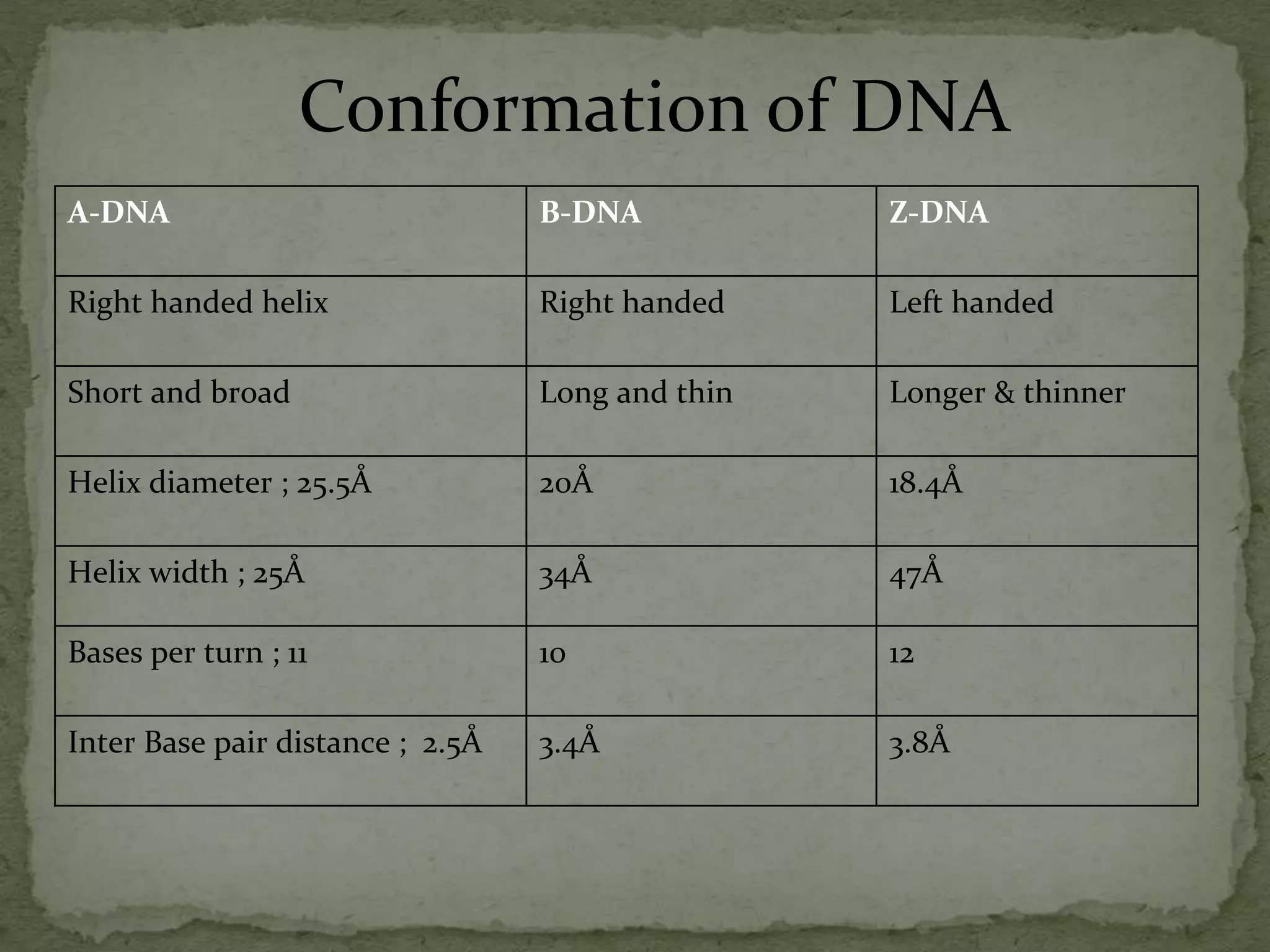 Structure of DNA by syed aasim haq | PPTX