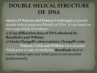 Structure of DNA by syed aasim haq | PPTX