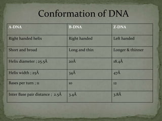 Structure of DNA by syed aasim haq | PPTX