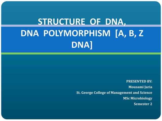 Structure of dna , dna polymorphism | PPTX | Chemistry | Science