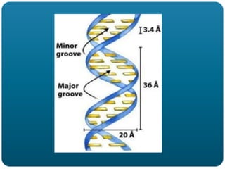 Structure of dna , dna polymorphism | PPTX