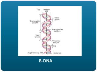 Structure of dna , dna polymorphism | PPTX