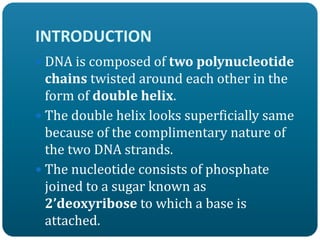 Structure of dna , dna polymorphism | PPTX