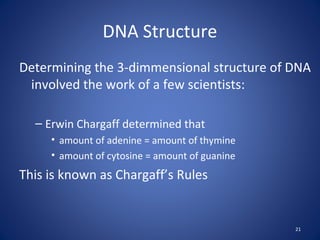 Structure of DNA for medical school | PPT
