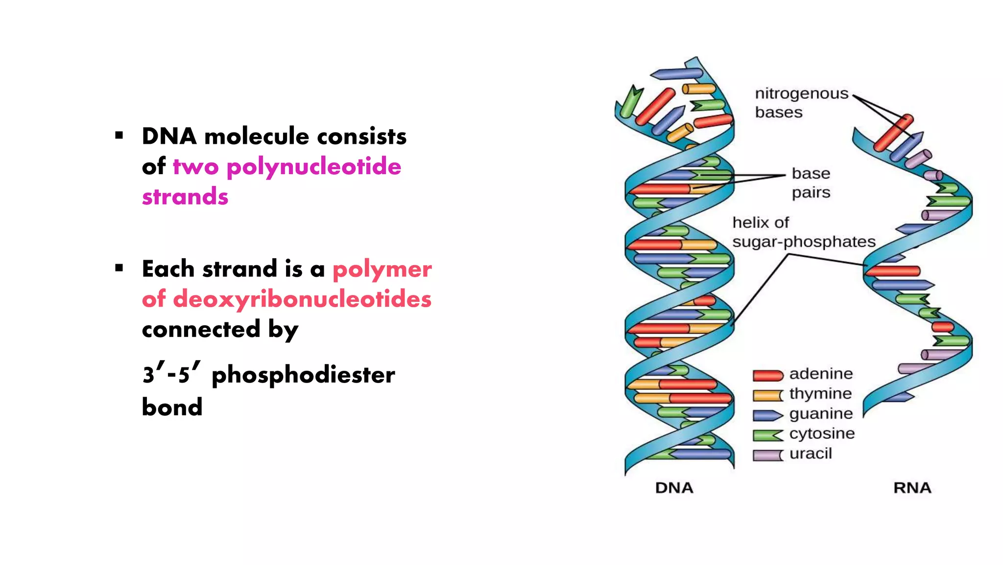 Structure of dna, its organization & functions, july 2020 | PPT