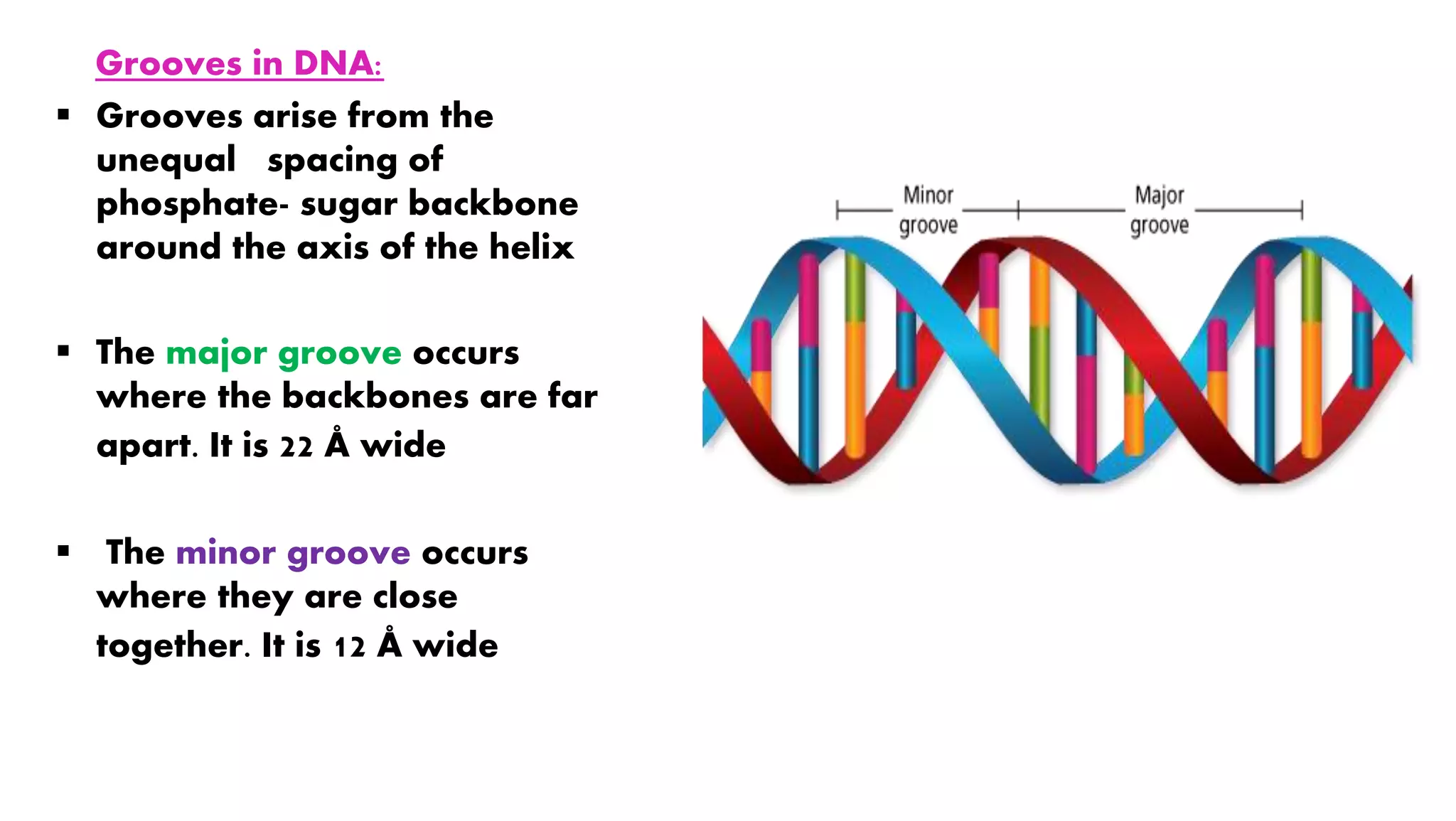 Structure of dna, its organization & functions, july 2020 | PPT
