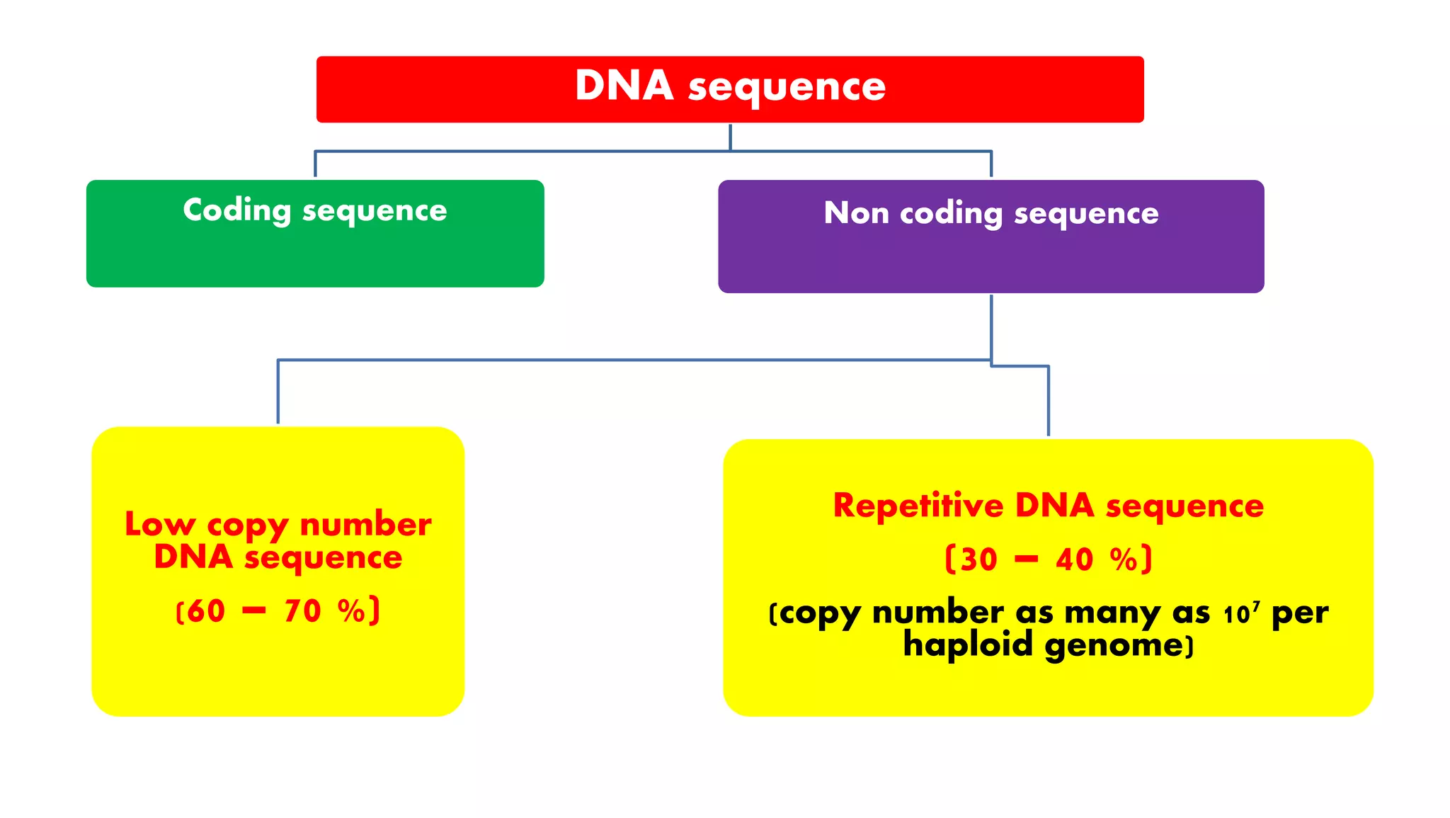Structure of dna, its organization & functions, july 2020 | PPT