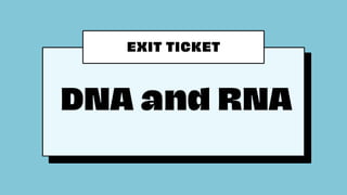 Structure of Dna and RNA Presentation.pdf