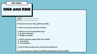 Structure of Dna and RNA Presentation.pdf