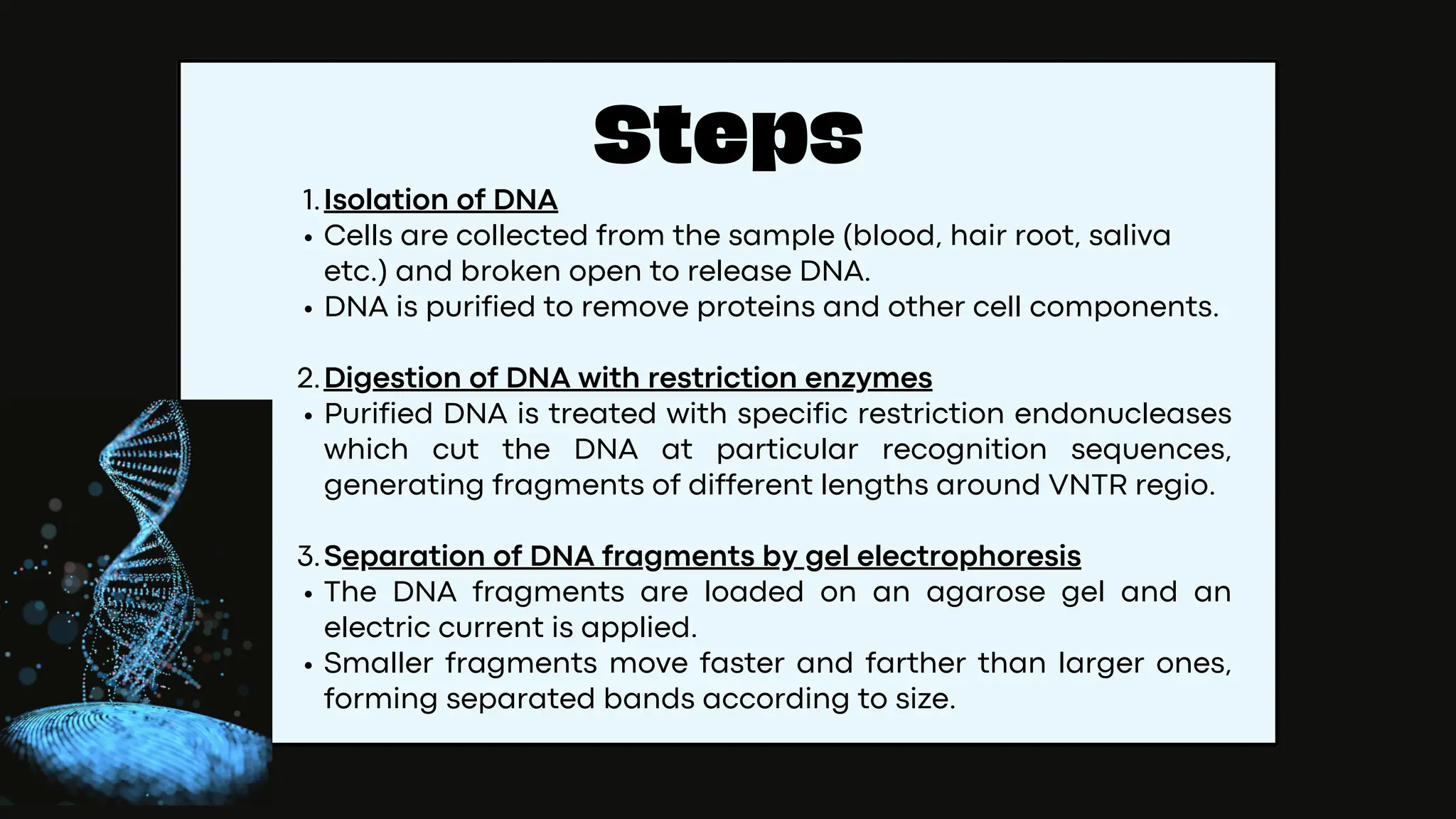 Structure of Dna Presentation (1).pdf of class 1th | PDF