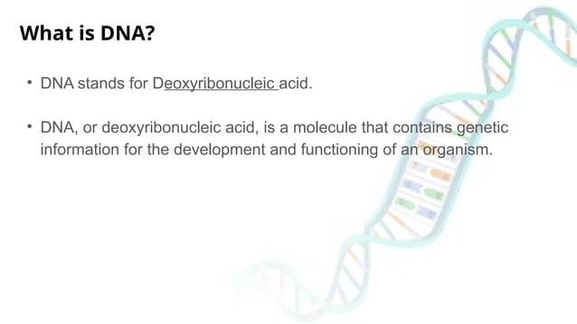 Structure of DNA & Properties.pptx.pptx (1).pptx
