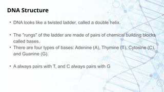 Structure of DNA & Properties.pptx.pptx (1).pptx