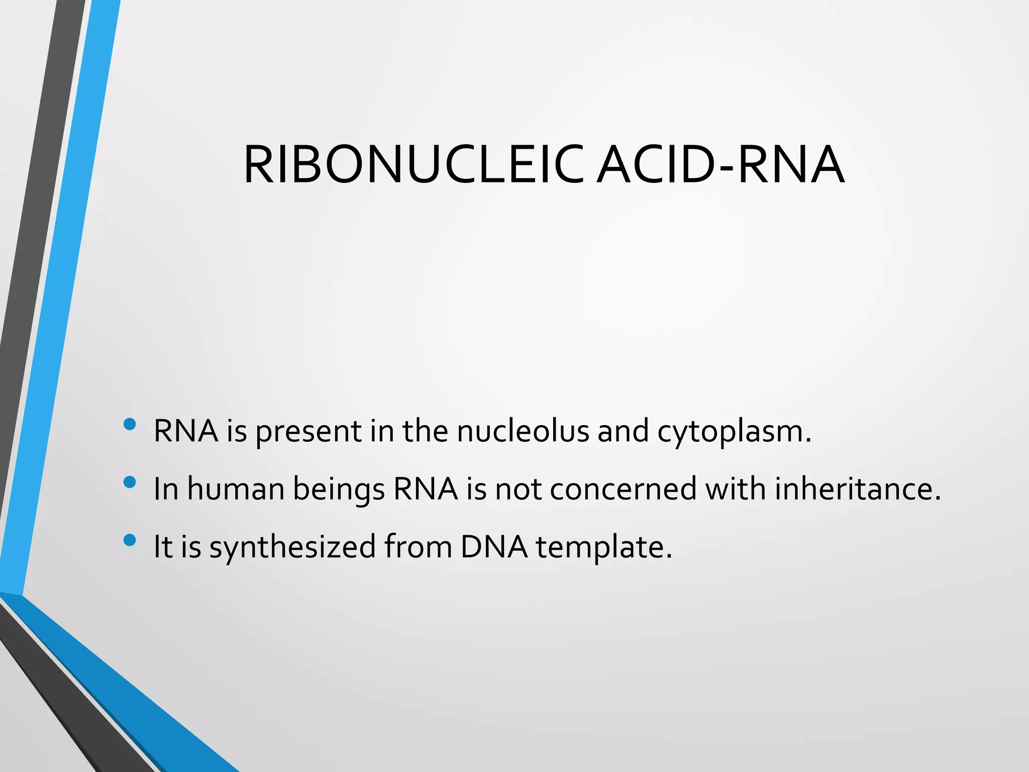 Structure of DNA replication & protein synthesis | PPTX