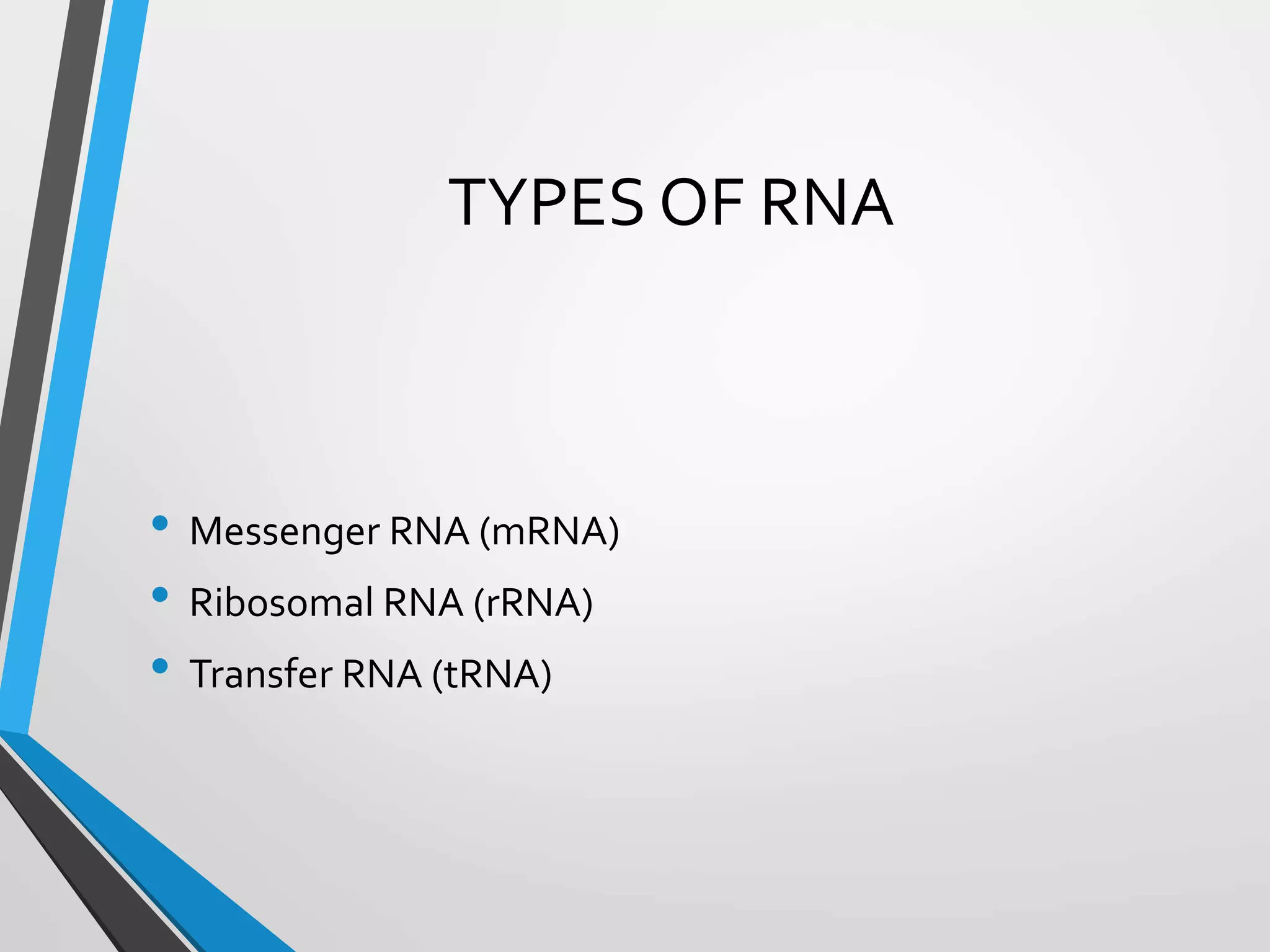 Structure of DNA replication & protein synthesis | PPTX
