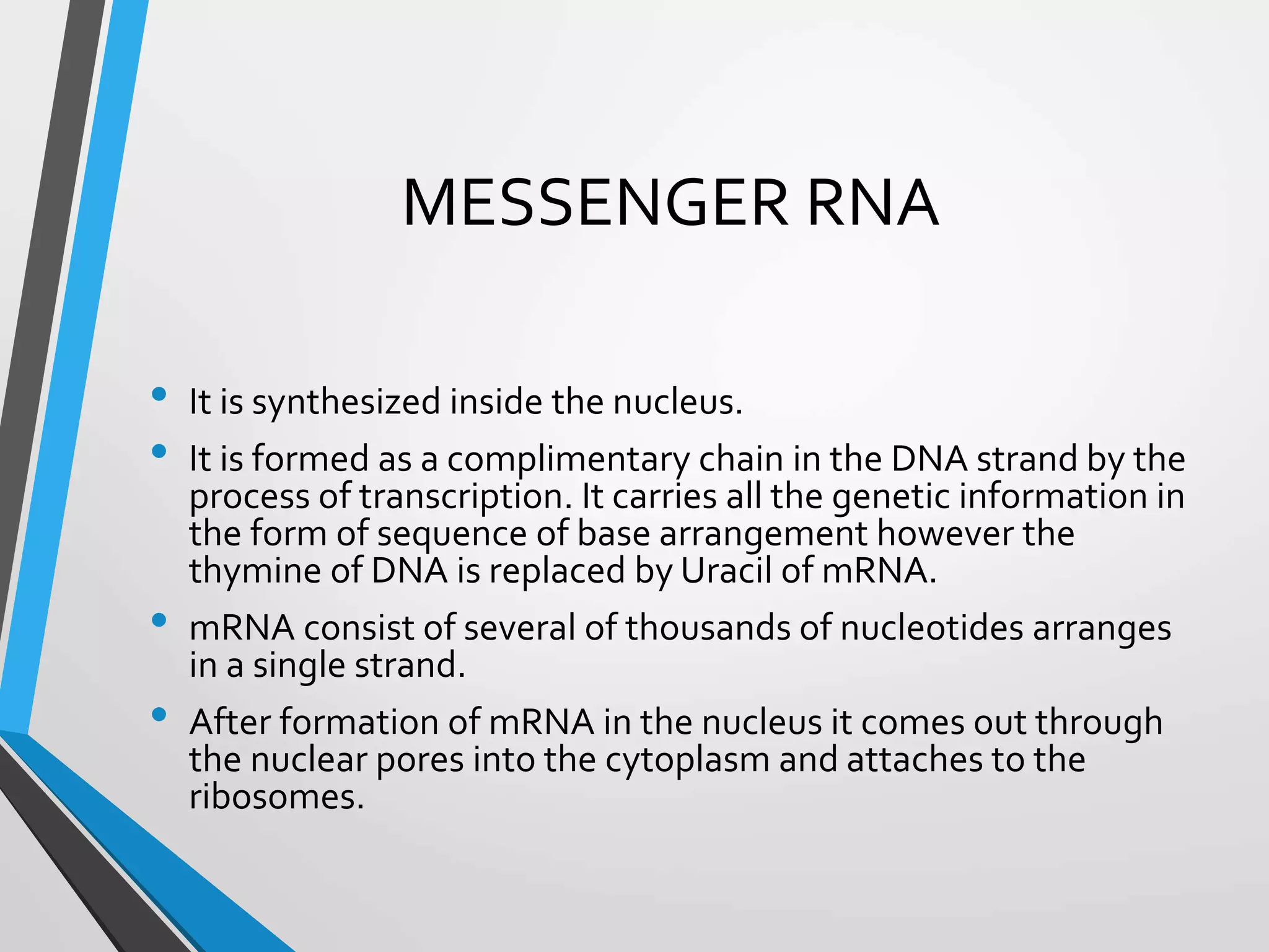 Structure of DNA replication & protein synthesis | PPTX