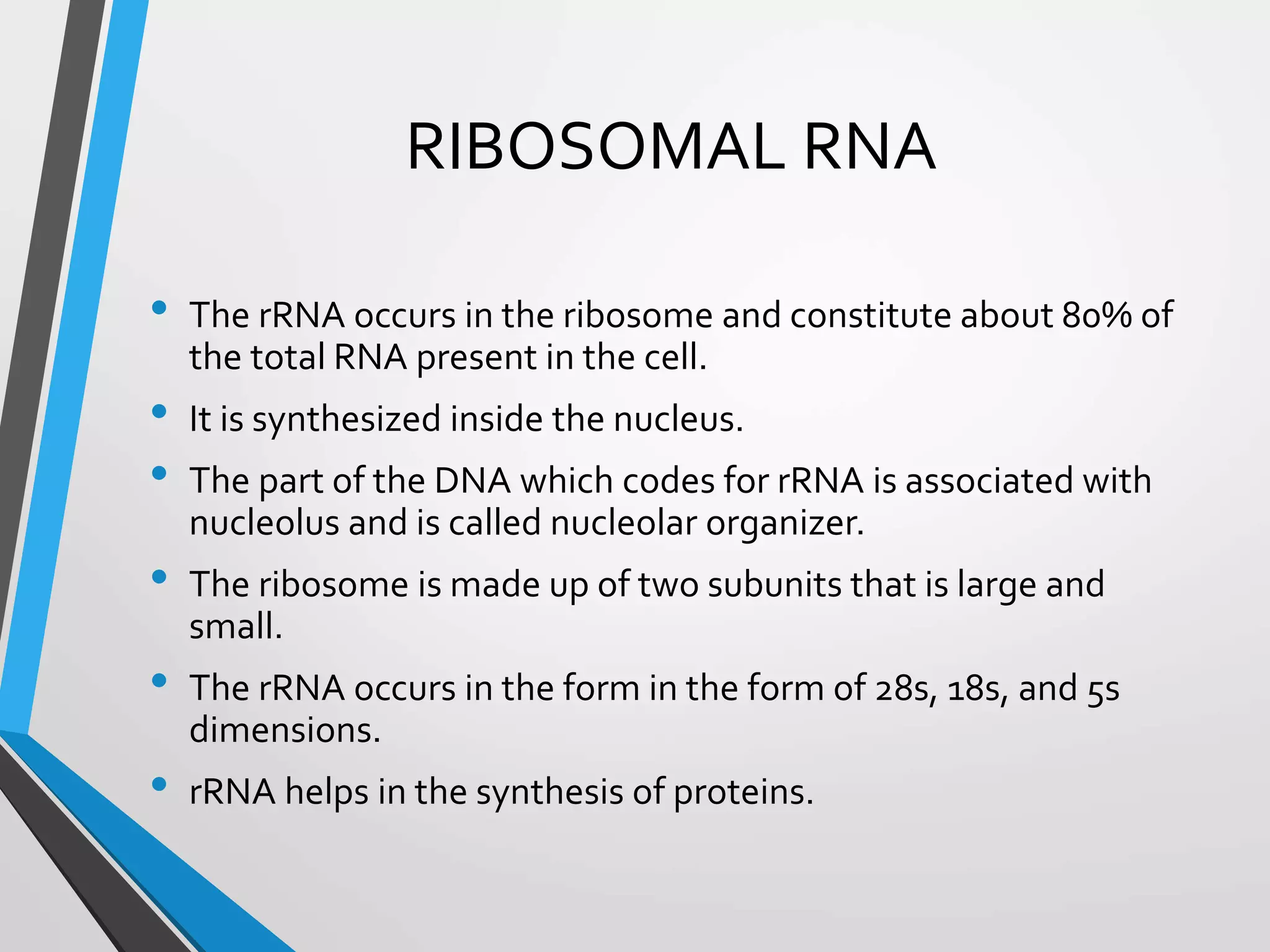 Structure of DNA replication & protein synthesis | PPTX