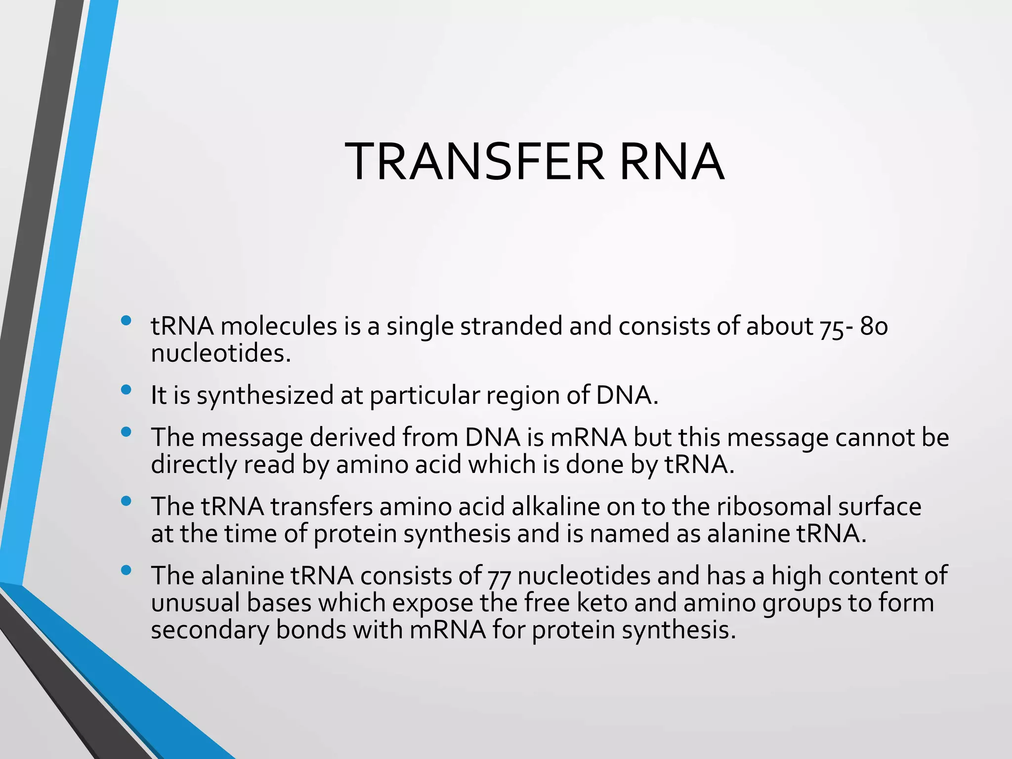 Structure of DNA replication & protein synthesis | PPTX