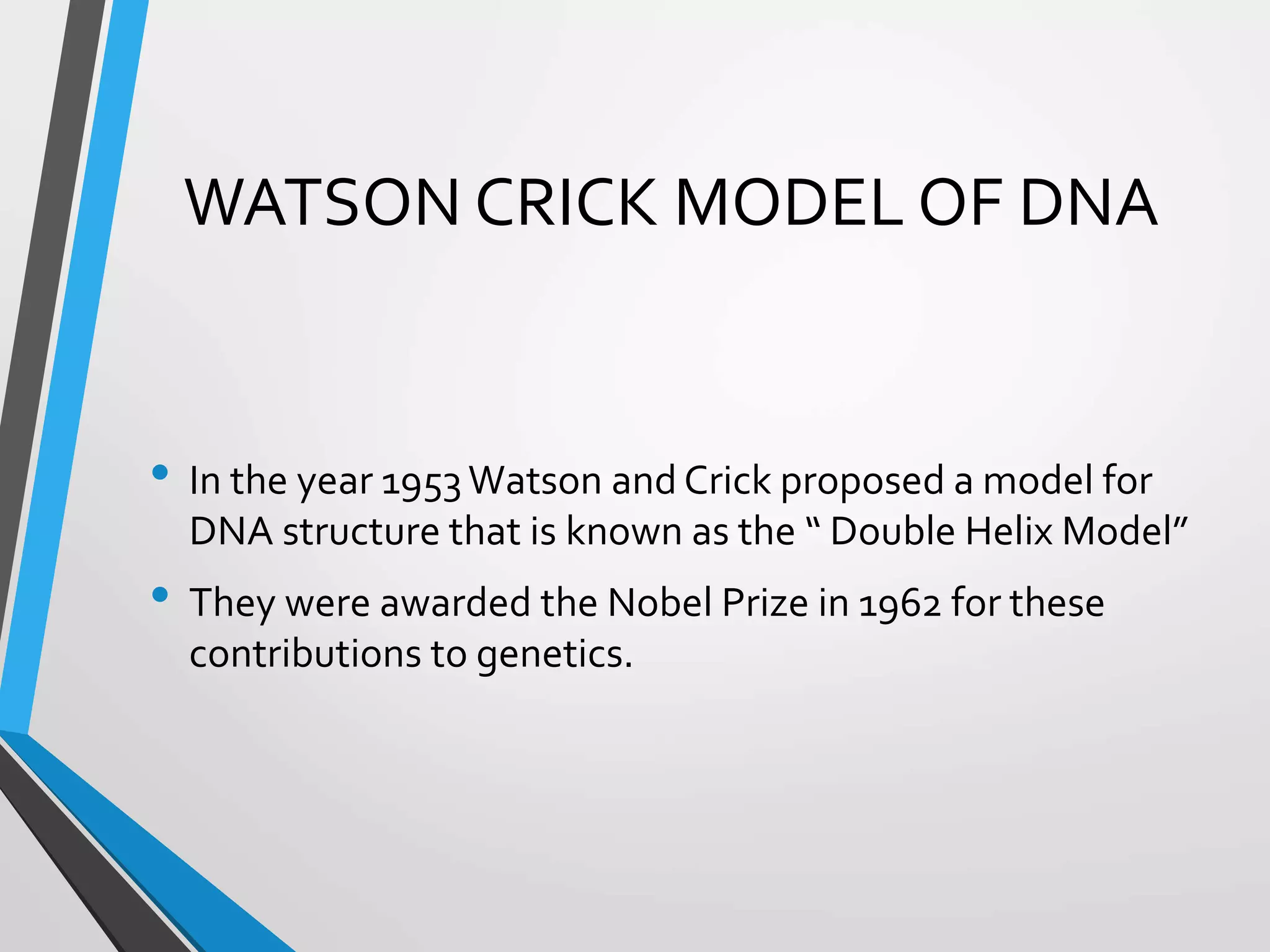 Structure of DNA replication & protein synthesis | PPTX