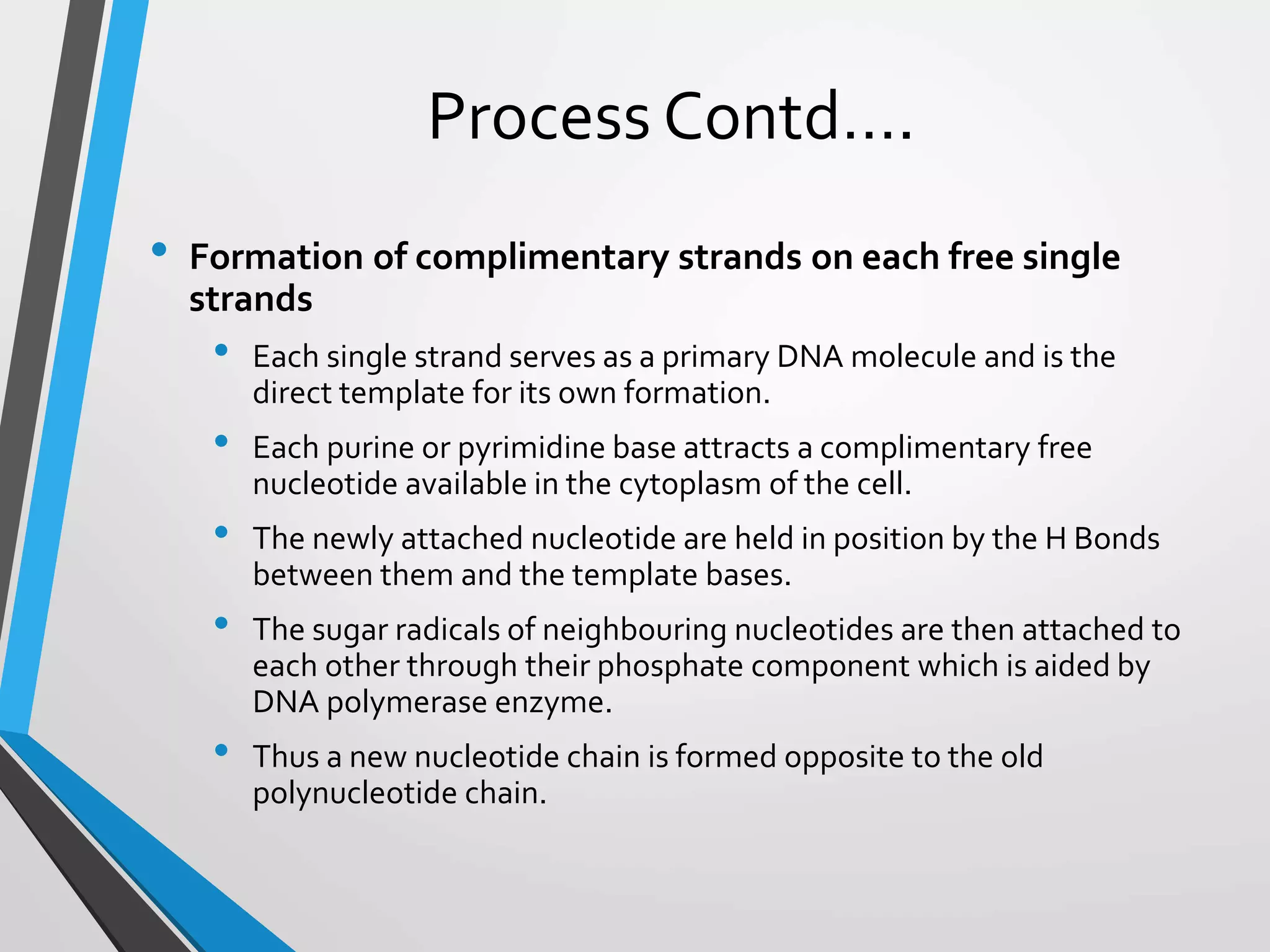 Structure of DNA replication & protein synthesis | PPT