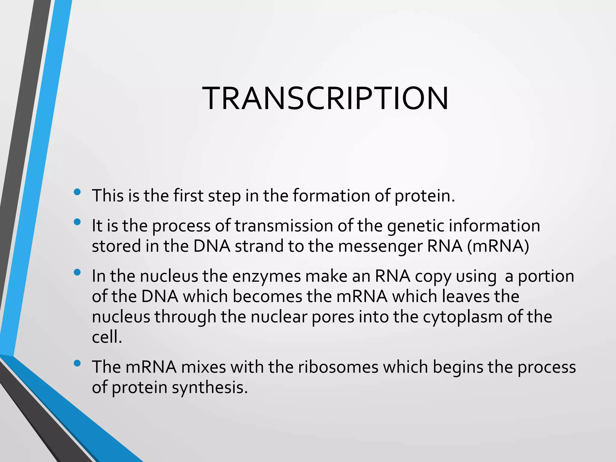 Structure of DNA replication & protein synthesis | PPTX
