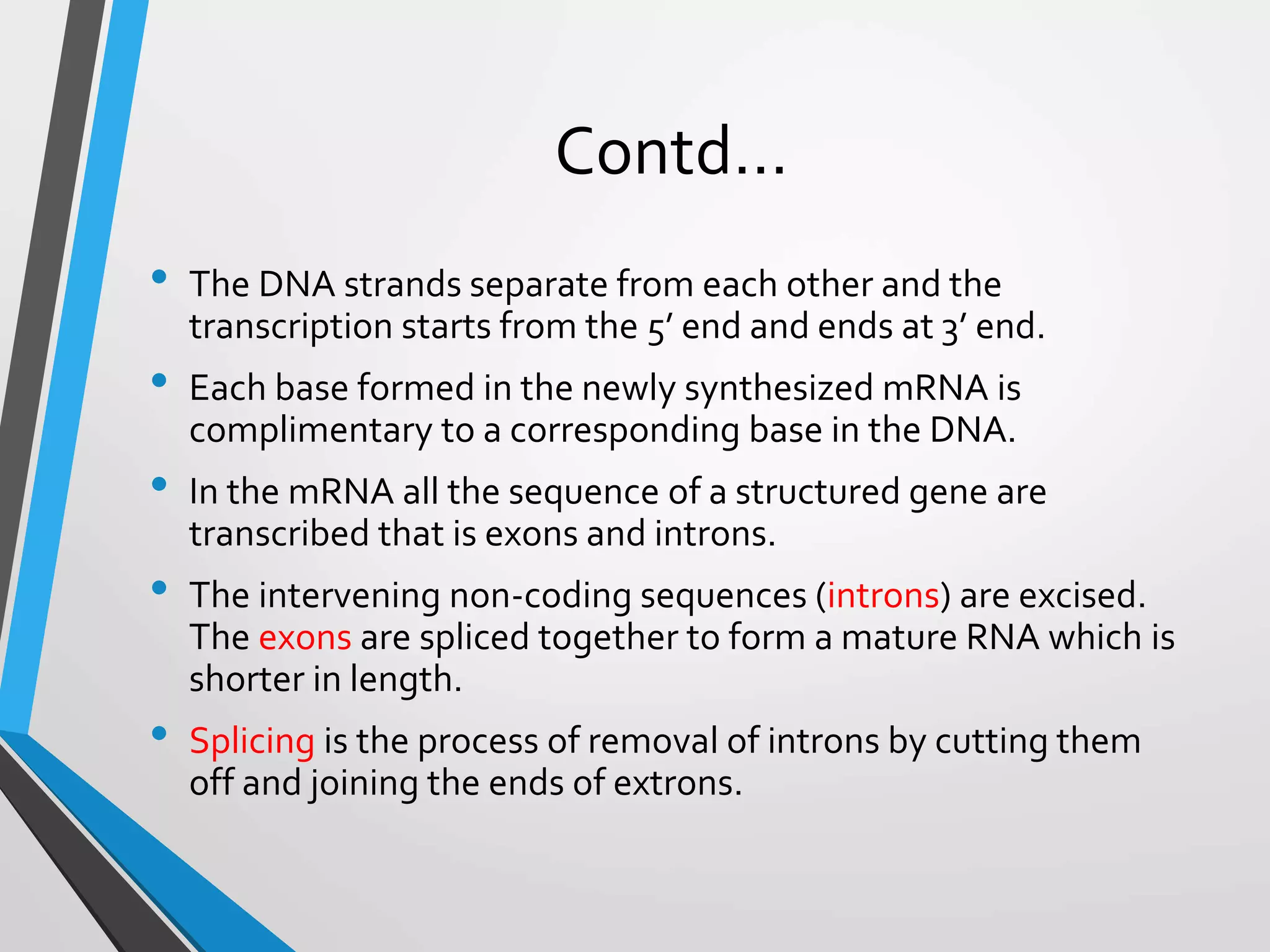 Structure of DNA replication & protein synthesis | PPTX