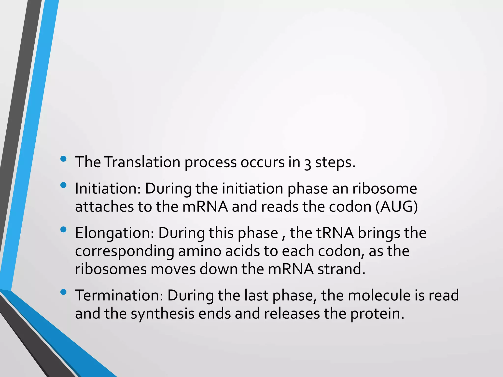 Structure of DNA replication & protein synthesis | PPT