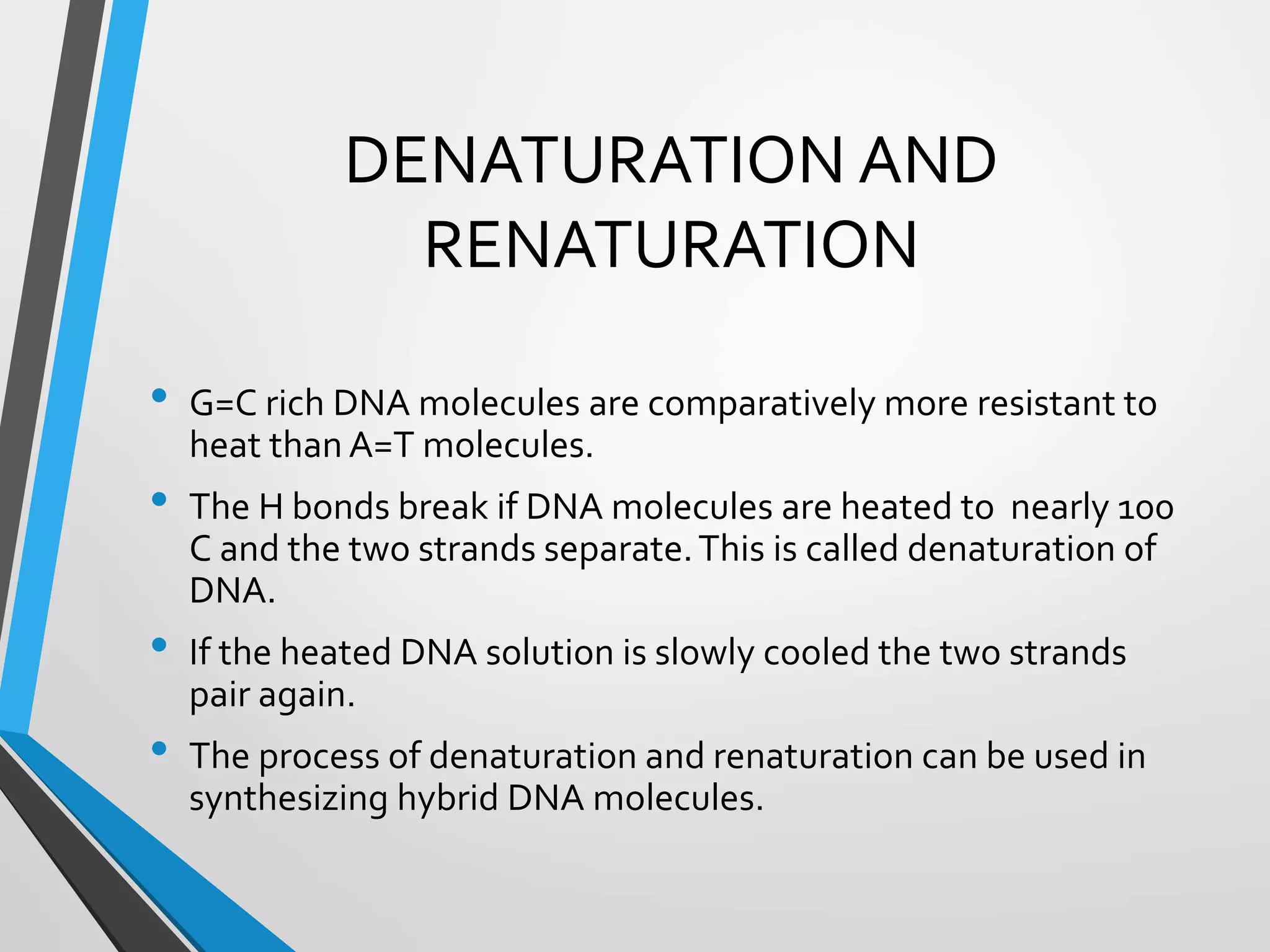 Structure of DNA replication & protein synthesis | PPTX