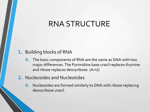 Structure of DNA replication & protein synthesis | PPT