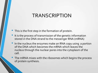 Structure of DNA replication & protein synthesis | PPTX