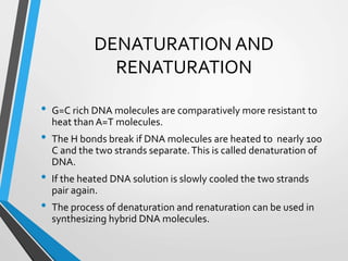Structure of DNA replication & protein synthesis | PPT