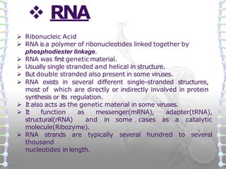 Structure of dna rna | PPTX