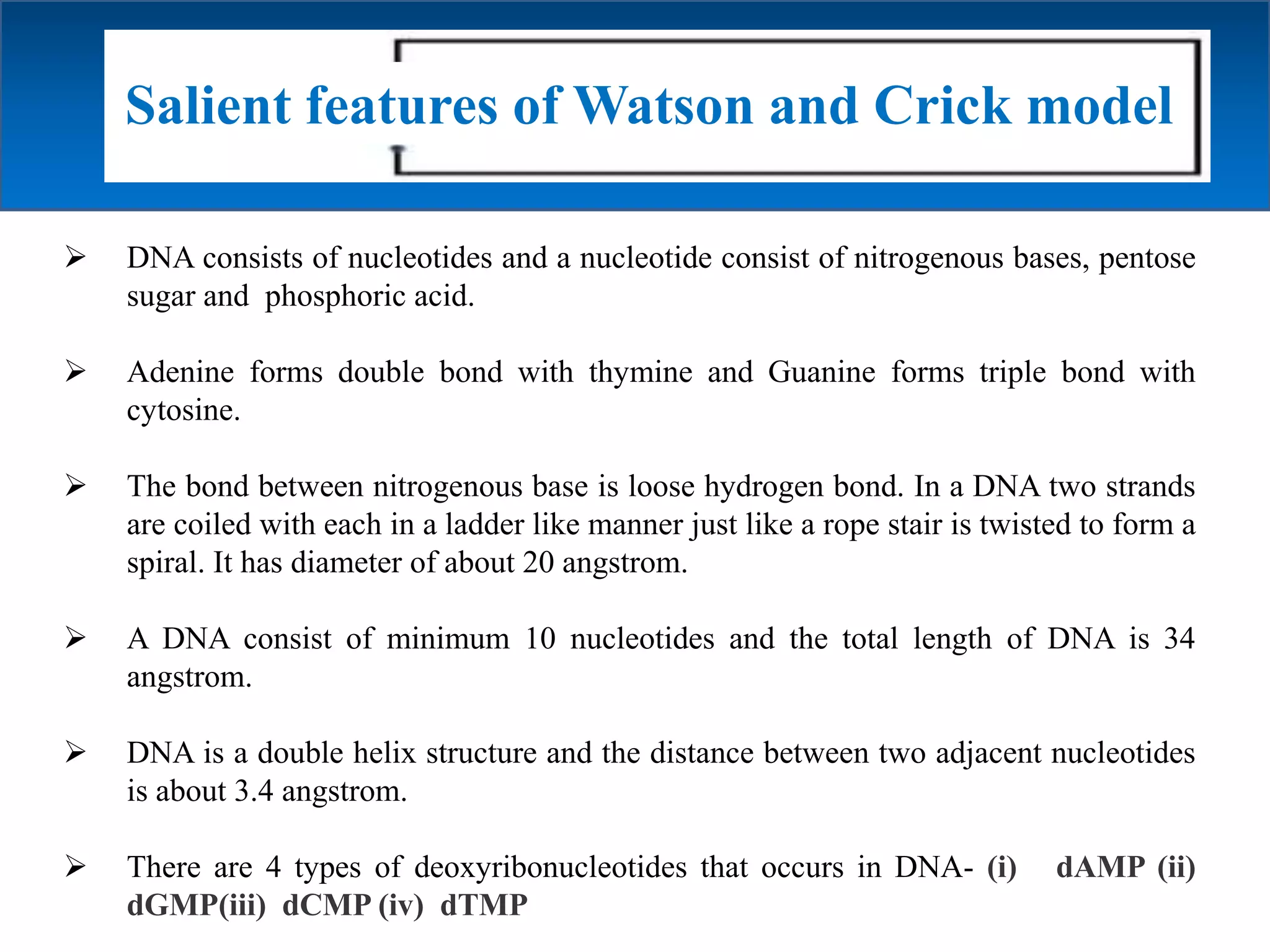 STRUCTURE OF DNA.pptx