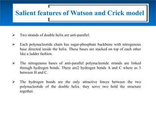 STRUCTURE OF DNA.pptx | Biological Sciences | Science