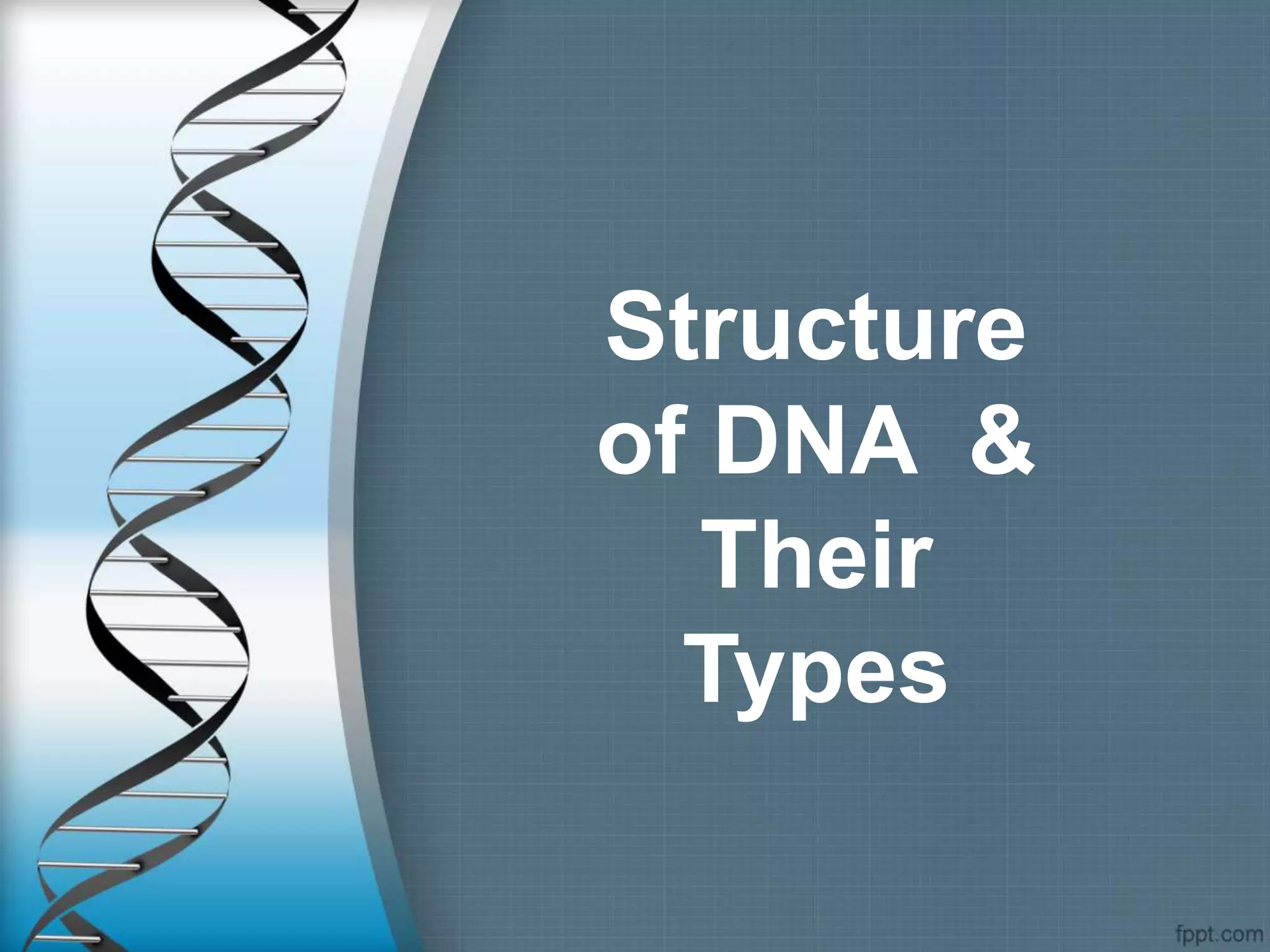 Structure of DNA & Their Types.pptx