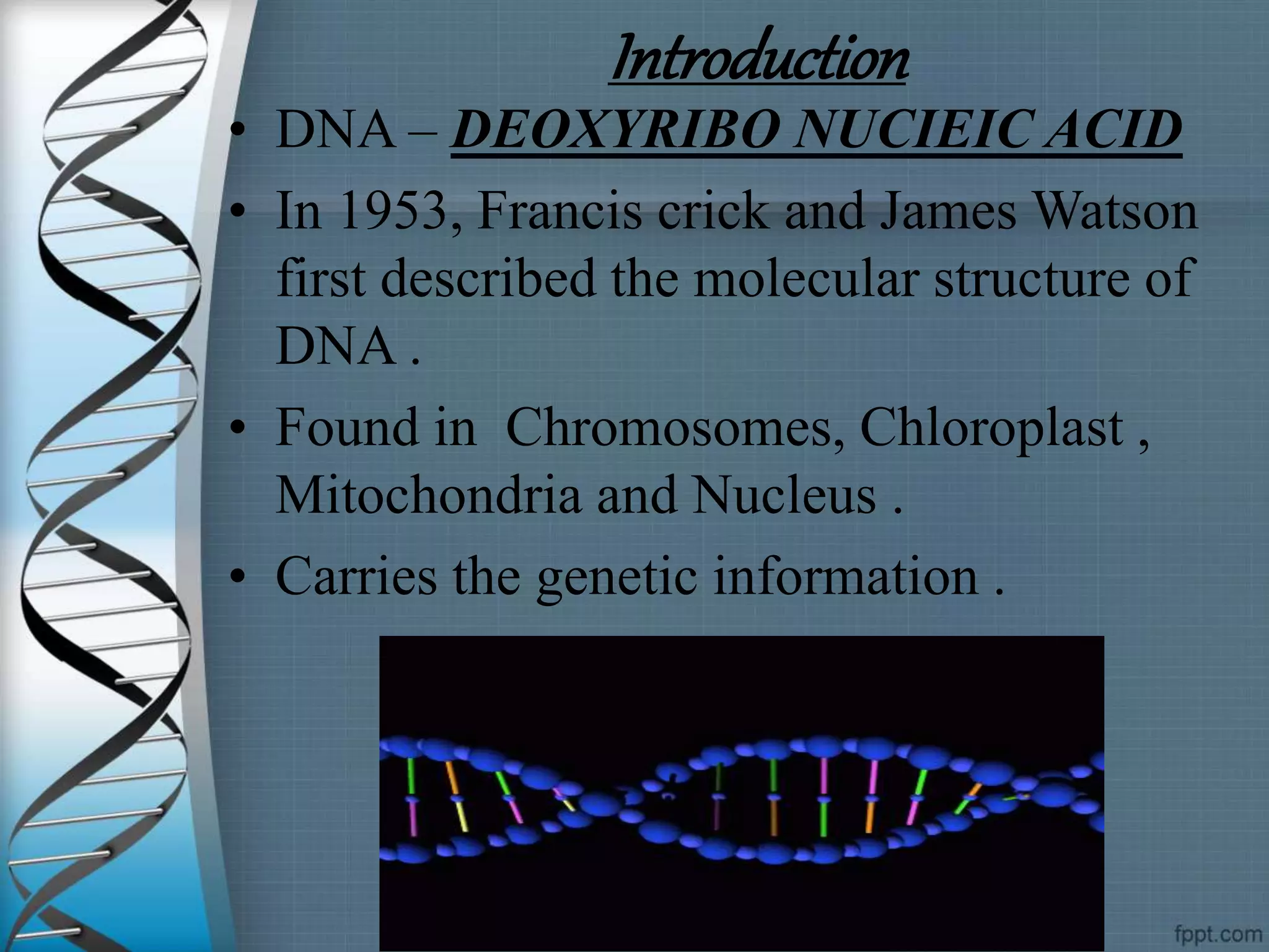 Structure of DNA & Their Types.pptx